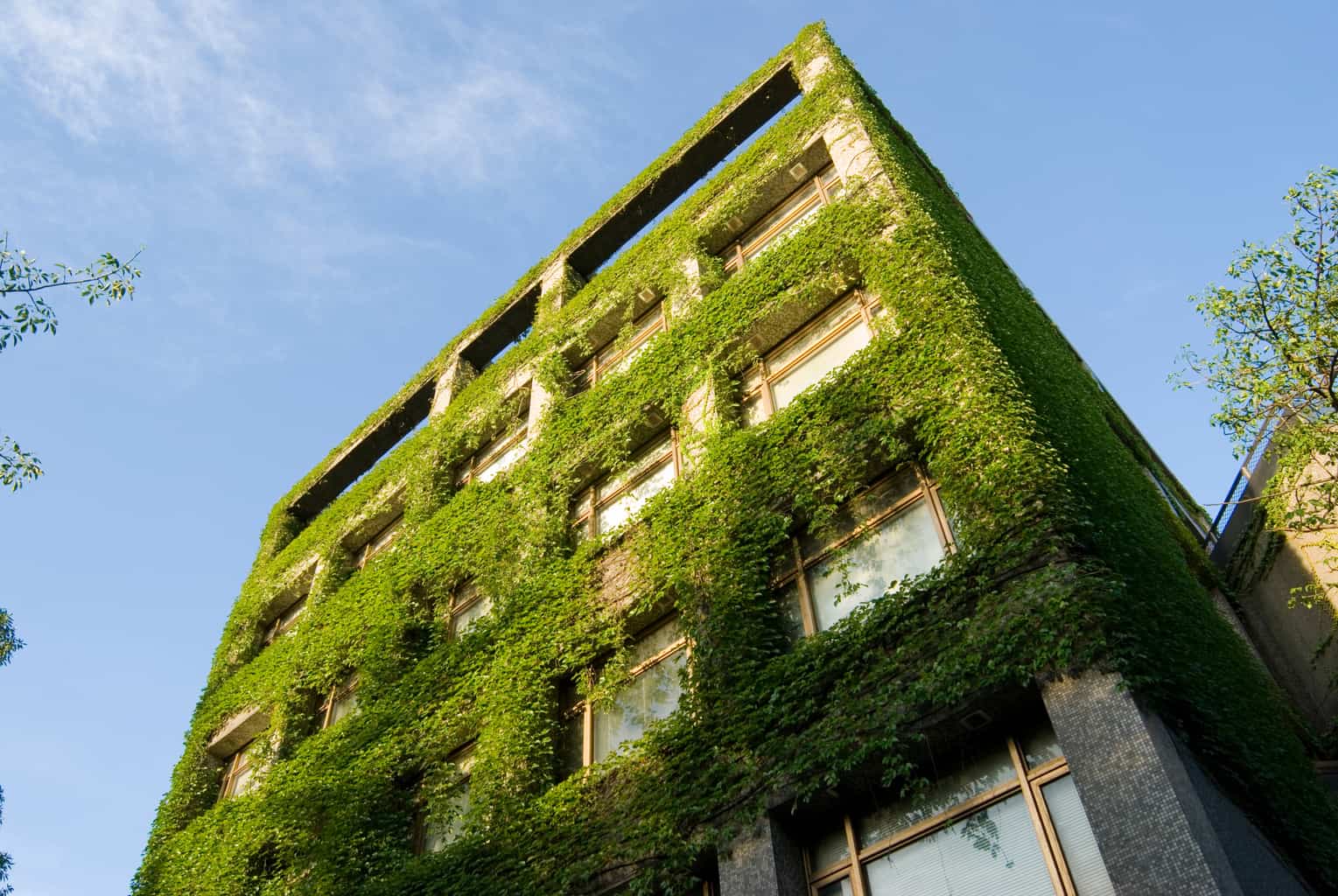 Green Residential Architecture