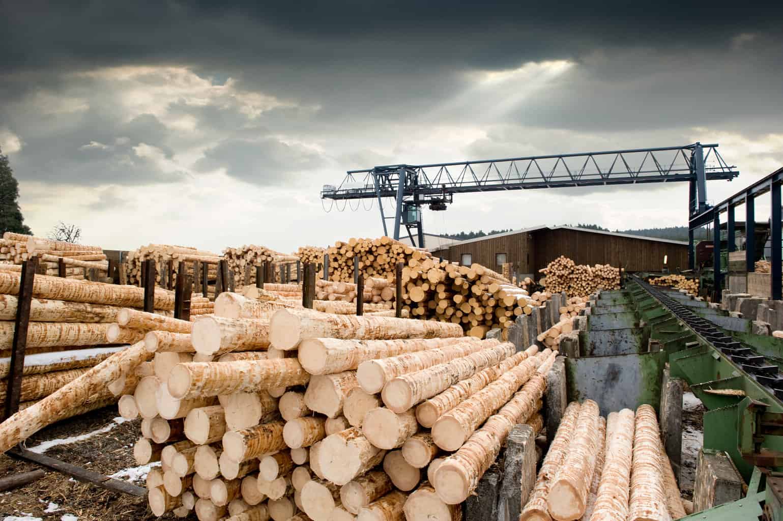 Is Wood a Sustainable Building Material? 7 Facts - BuilderSpace